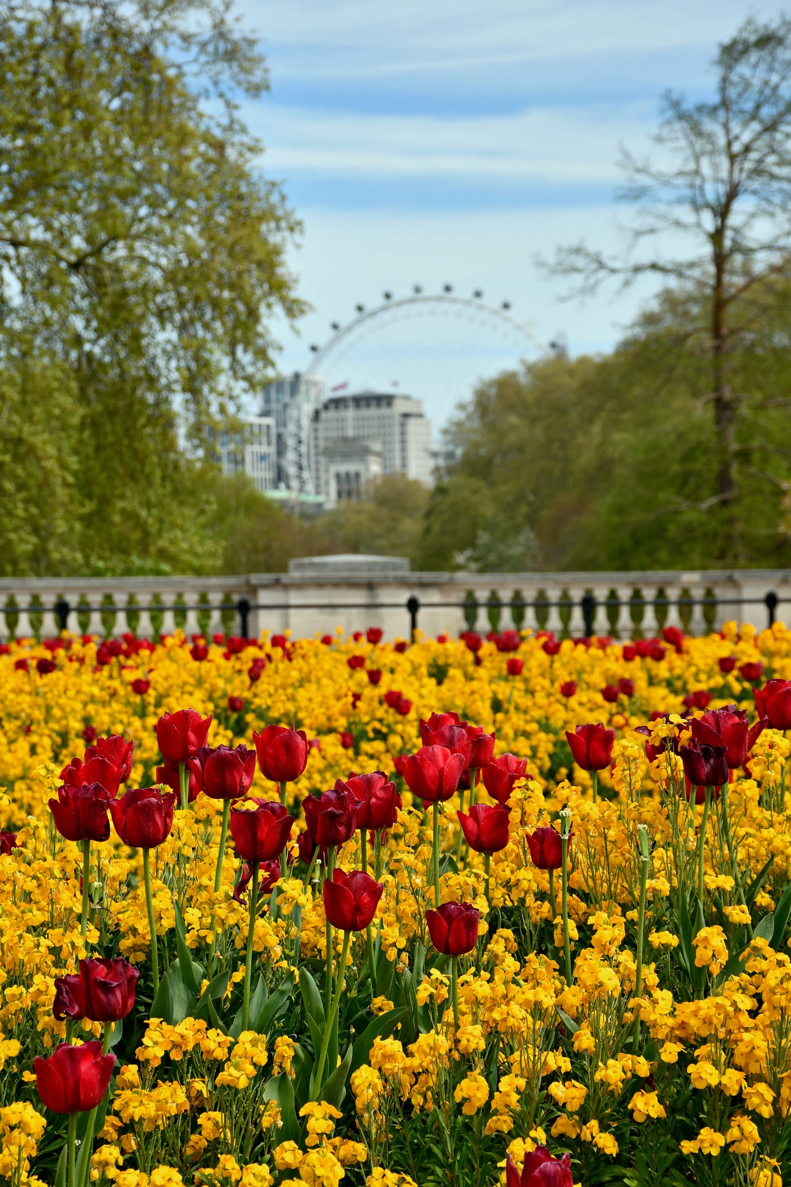 7 stunning FREE places to see tulips in London