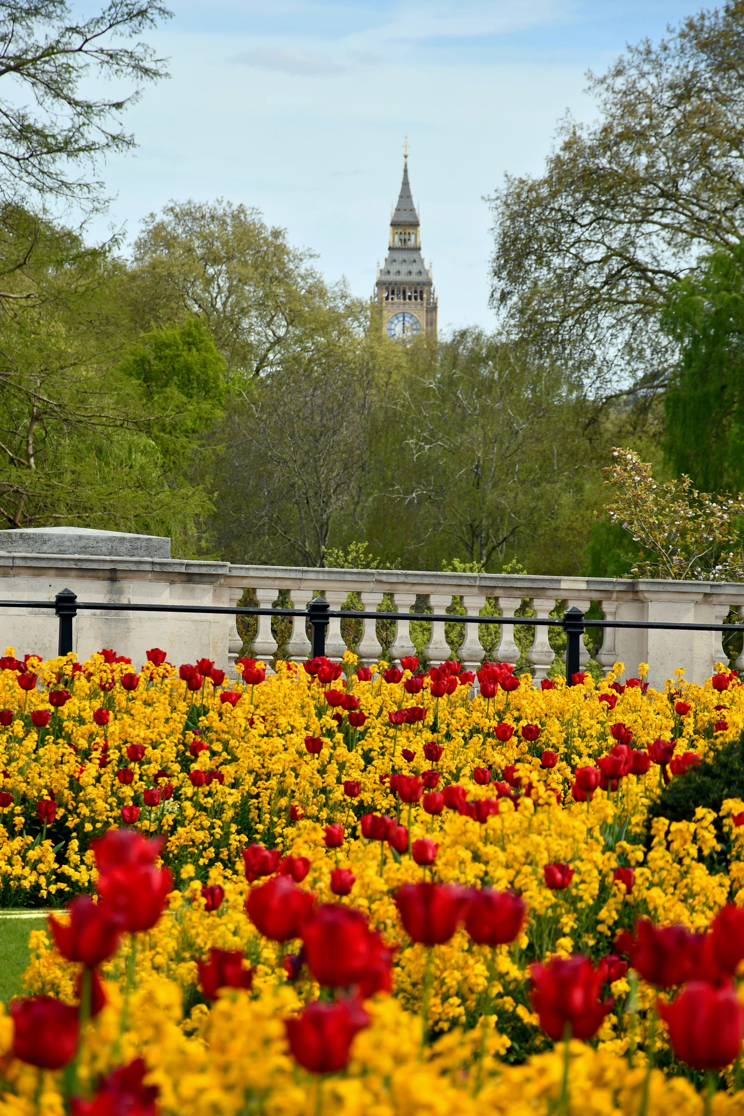 7 stunning FREE places to see tulips in London