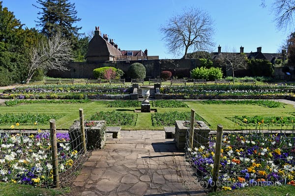 Cannizaro Park: Wimbledon’s best-kept secret!